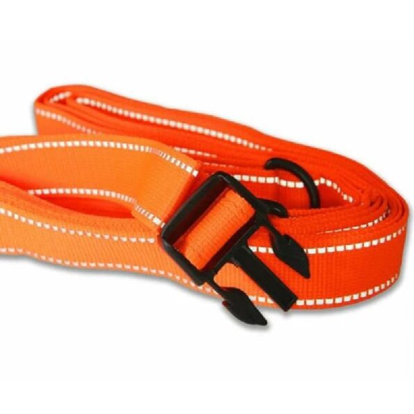 Camptech Techline Secure Storm Straps for Inflatable Awnings (Set of 2 ...